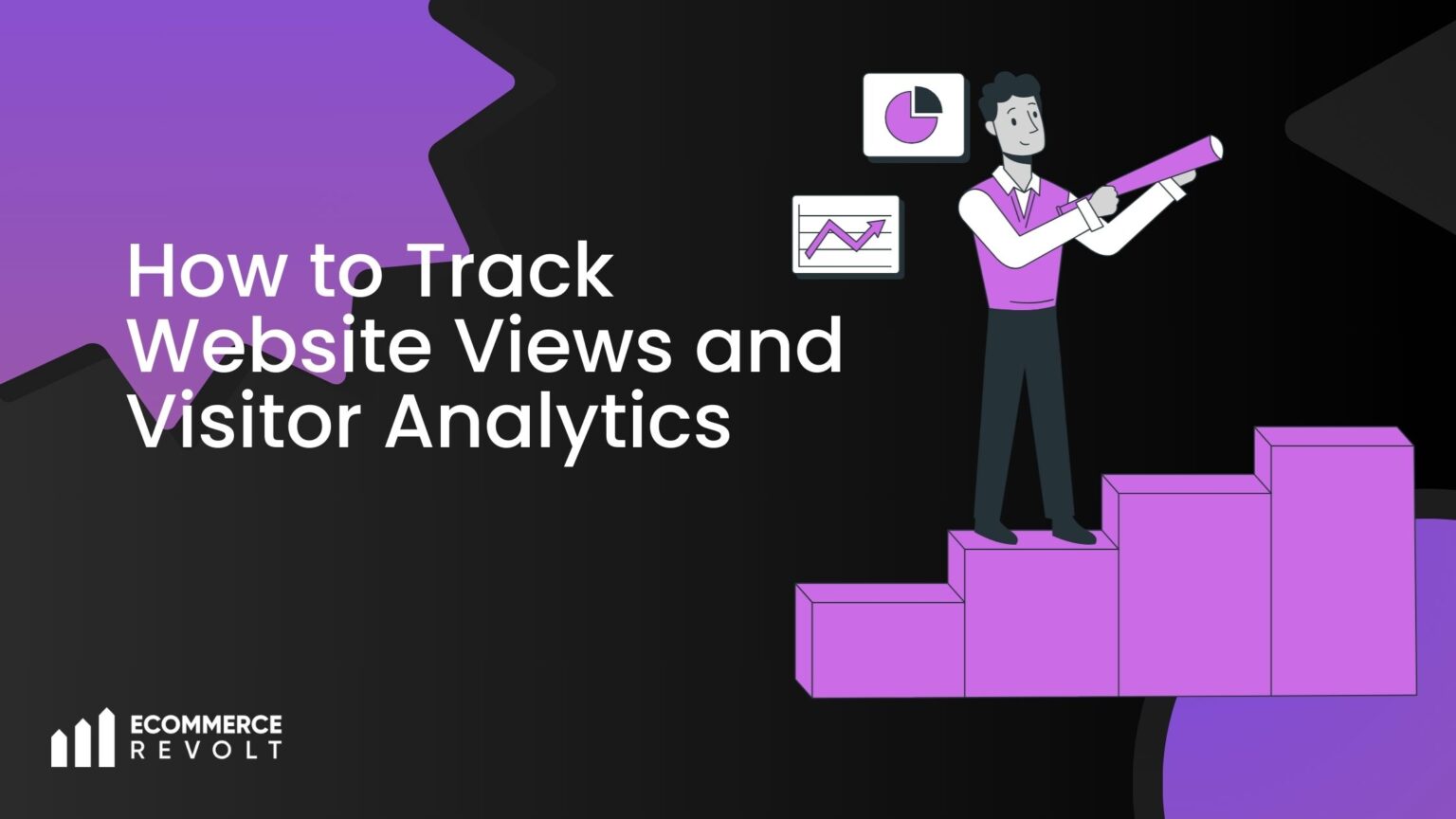 How to Track Website Views and Visitor Analytics | Ecommerce Revolt